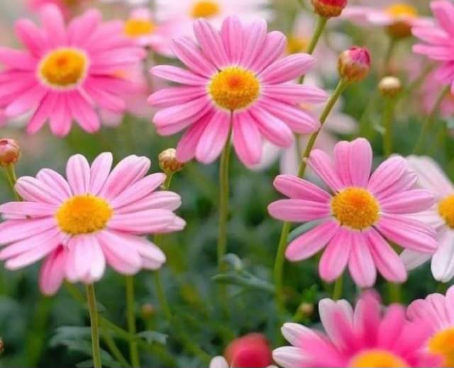 Morning Worship Song 2023 ️ Best Worship Songs of All Time ️ Non Stop ...