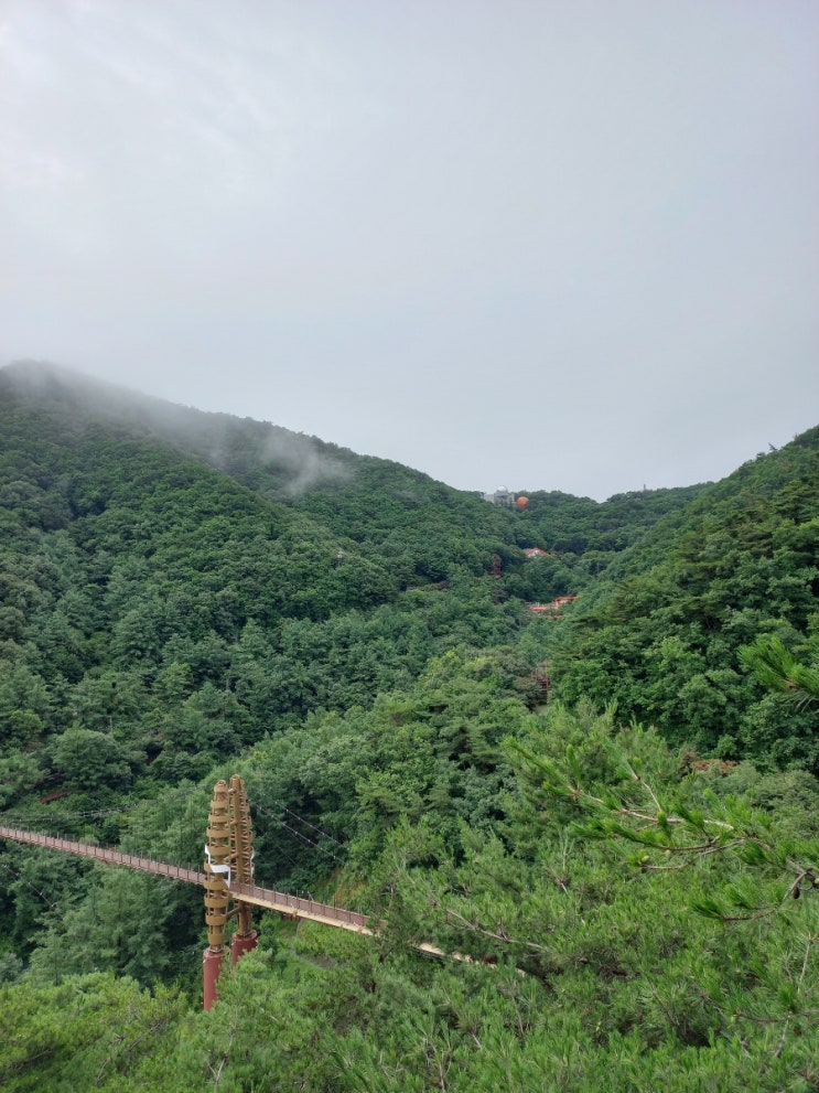 충북 증평군 증평 여행 좌구산휴양림 처녀자리연립동 후기feat 증평좌구산천문대 네이버 블로그
