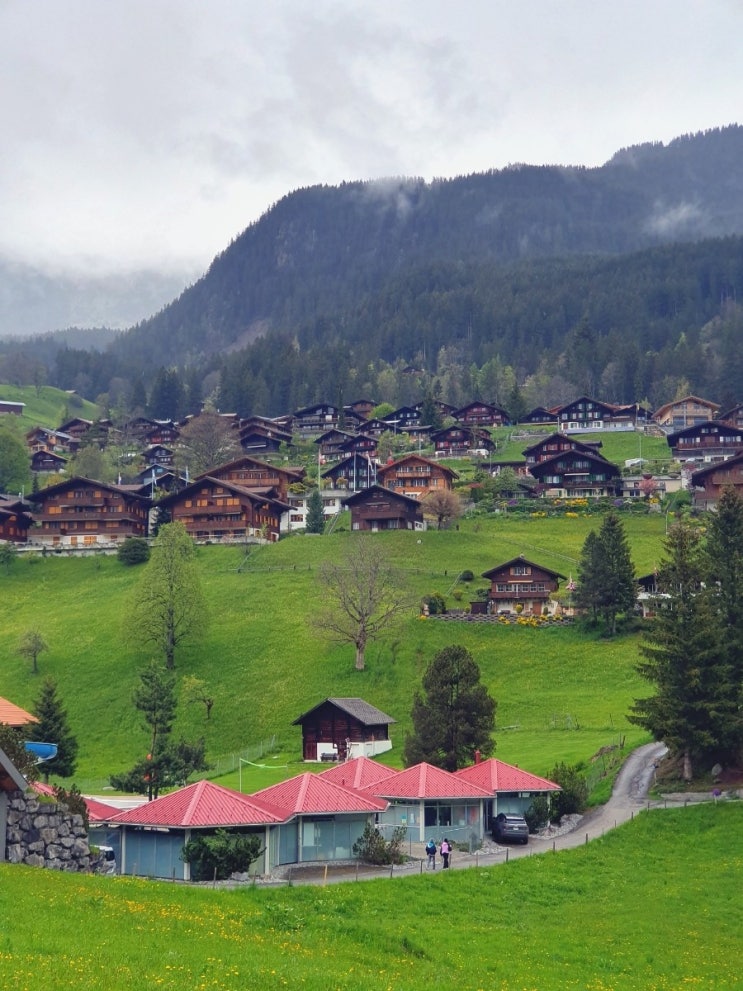 스위스 그린델발트 : 아이거 북벽이 펼쳐진 숙소와 인터라켄 라우터브루넨 절벽마을 반나절 둘러보기 : 네이버 블로그