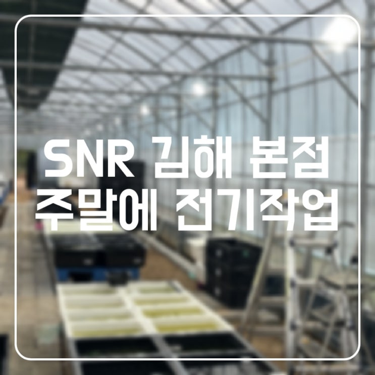 SNR 김해 본점 주말에 전기작업 : 네이버 블로그