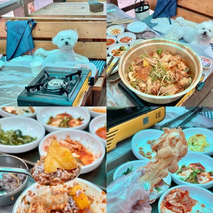 가평 대성리 맛집 비원식당 토종닭 닭도리탕 애견동반 네이버 블로그