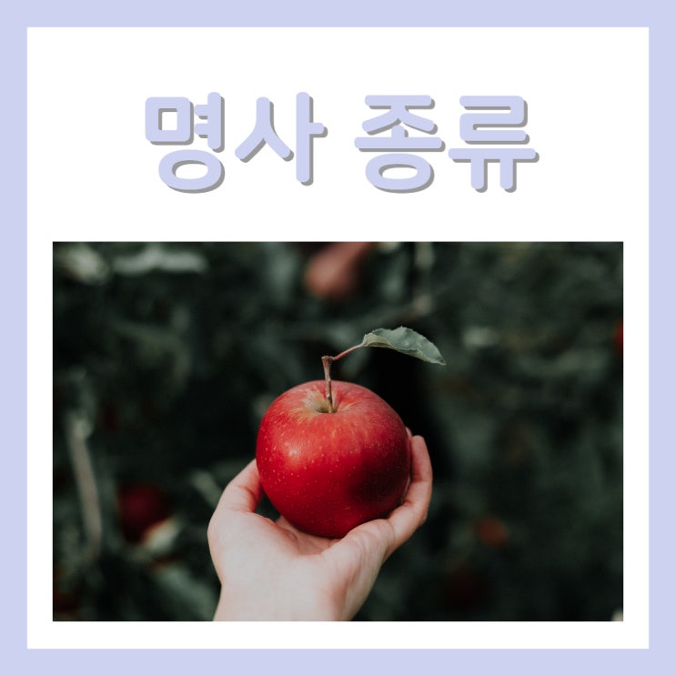기초 영문법 명사 종류 가산 명사 불가산 명사 보통명사 물질명사 추상명사 집합명사 네이버 블로그