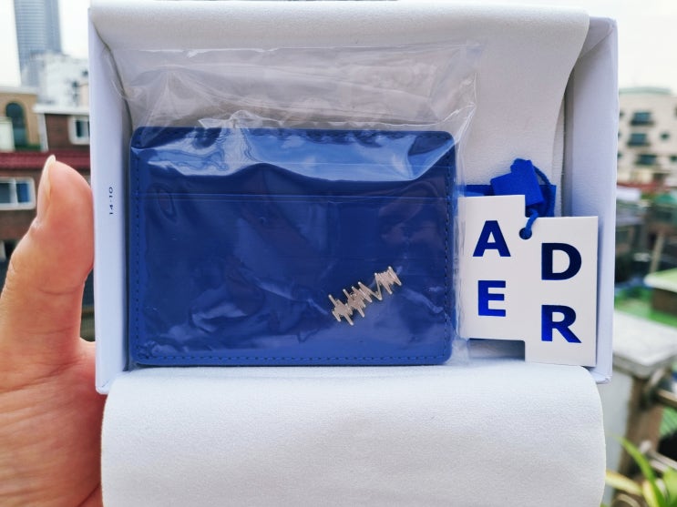 남성 카드지갑 추천 : 아더에러(Ader Error) 블루 컬러의 지갑 디자인 'Kadia card holder', 홍대 아더 ...