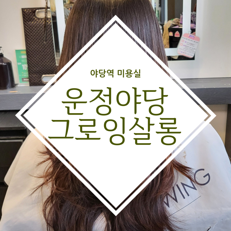 야당역 미용실 그로잉살롱 운정야당역점 컷트하고 왔어요 네이버 블로그