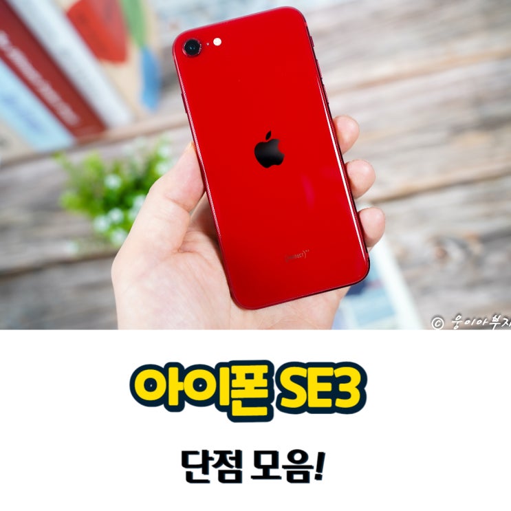 아이폰 SE3 레드 자급제 단점 위주 분석, 내돈내산 1년 지켜 본 후기 : 네이버 블로그