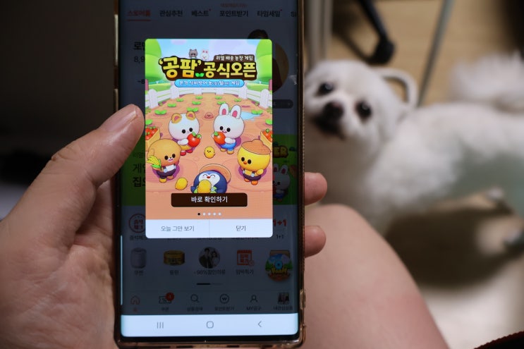 공팜 농작물 키우기 이벤트 빵빵 해요 네이버 블로그