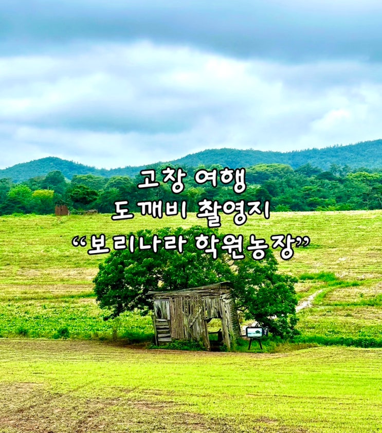 고창 여행 고창 가볼 만한 곳 보리 나라 학원농장” 도깨비 촬영지로 유명한 보리밭 네이버 블로그