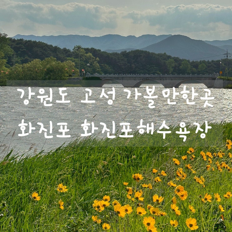 강원도 고성 고성여행 가볼만한곳 고성8경 화진포 화진포해수욕장 네이버 블로그