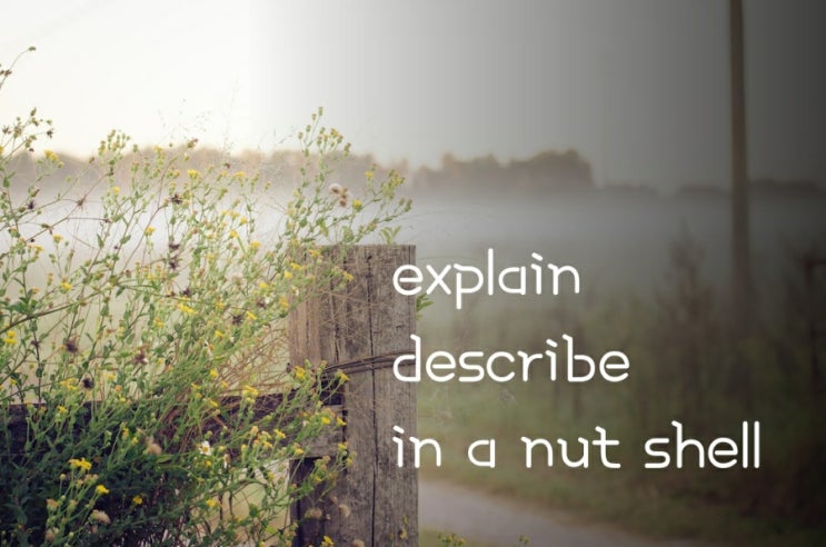 영어단어 설명하다 explain / describe 간단히 말하자면 in a nutshell 영어표현 : 네이버 블로그