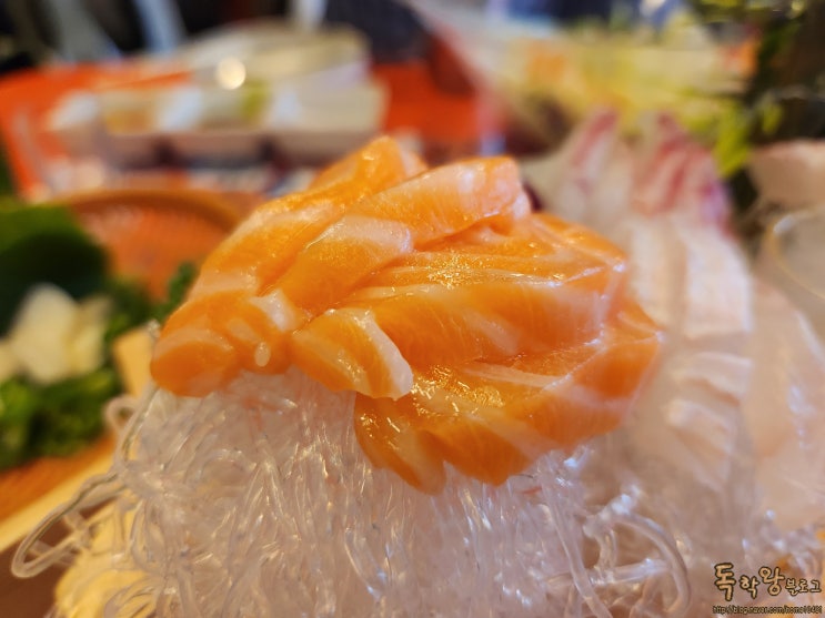 신사 보물섬 두번째이야기신사역 맛집가로수길 맛집가로수길 횟집신사 가로수길 놀거리신사동 가로수길 술집신사역 횟집칠리
