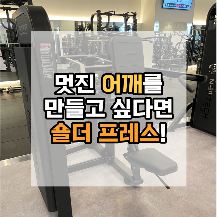[하남헬스/미사헬스/미사pt/하남pt/메가나인피트니스] 멋진 어깨를 만들고 싶다면 숄더 프레스! : 네이버 블로그