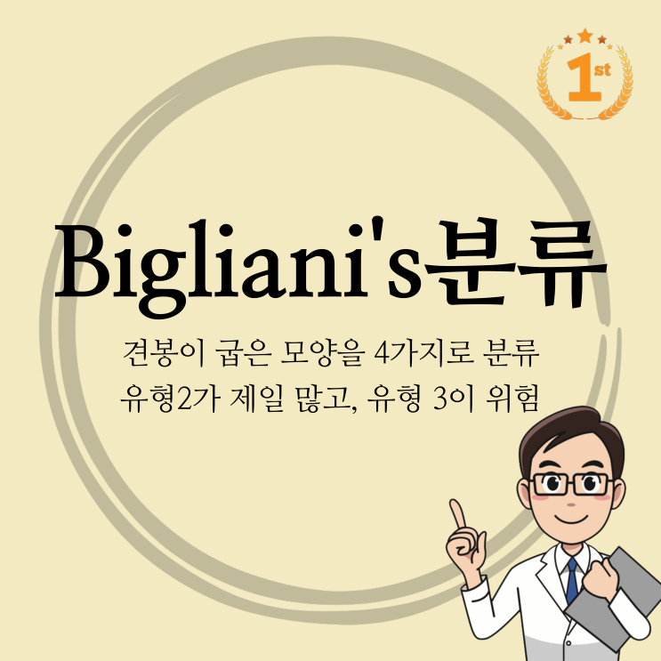 [기초] 견봉모양 Bigliani's 분류 : 네이버 블로그