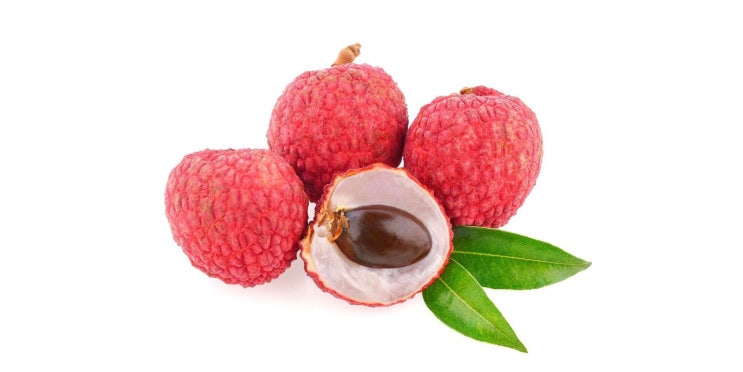 올리고놀(Oligonol): 열대 과일 리치(lychee 또는 lichee)에 풍부한 파이토케미칼 : 네이버 블로그