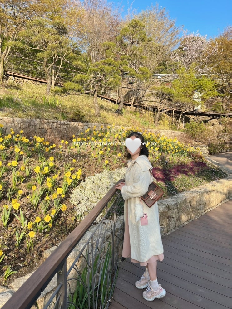 화담숲 모노레일 코스설명 And 발권성공하는 법 L 수선화축제에 다녀왔어요 네이버 블로그