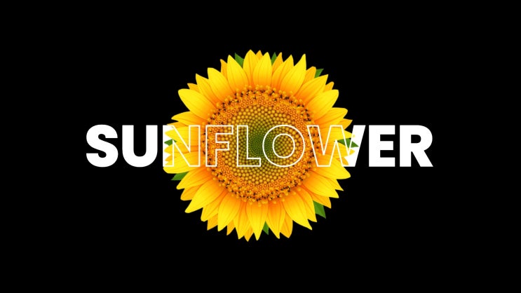 디자이너경준아빠의 웹퍼블리싱 : CSS Sunflower Text Effect~^^ : 네이버 블로그