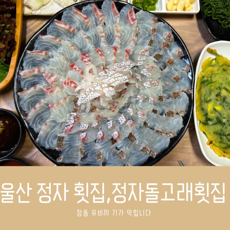 울산 정자 회센터 정자돌고래횟집 회 포장 점심 맛집 네이버 블로그