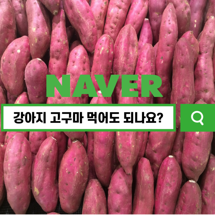 강아지 고구마 먹어도 되나요 효능 급여방법 주의사항 김포애견수제간식 마닐마닐 네이버 블로그