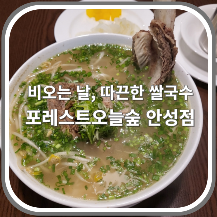 안성 석정동 쌀국수맛집 포레스트 오늘숲 안성점 비 오는 날 따끈한 왕갈비 쌀국수 점심 혼밥 후기 네이버 블로그