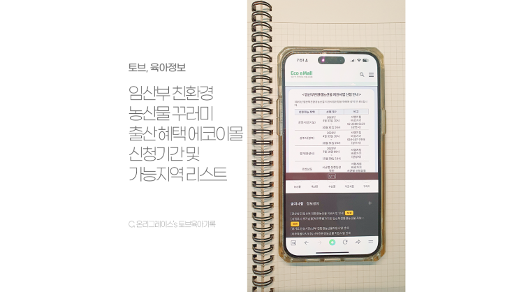임산부 친환경 농산물 꾸러미 출산 혜택 에코이몰 신청기간 및 가능지역 리스트 네이버 블로그