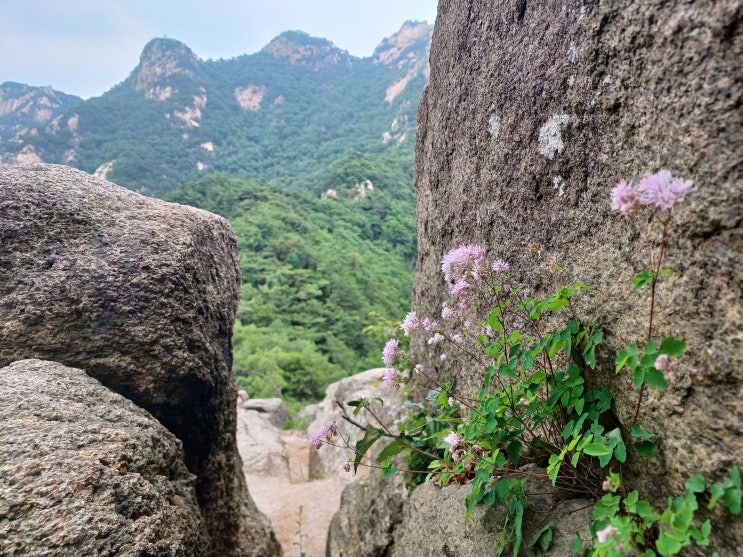 혹설청계당이신소(或說聽計當而身疏) - 의견대로 실행되고도 소외 당하는 일이 있으며 : 네이버 블로그