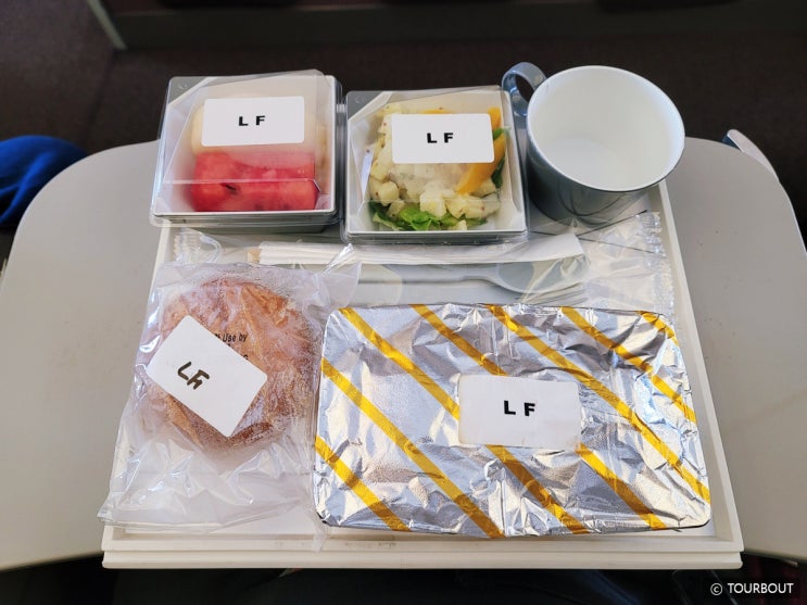 쿠알라룸푸르여행 말레이시아항공mh67 사전 좌석 지정 및 특별 기내식 신청 항공료 탑승 수속 및 후기ft 락토프리