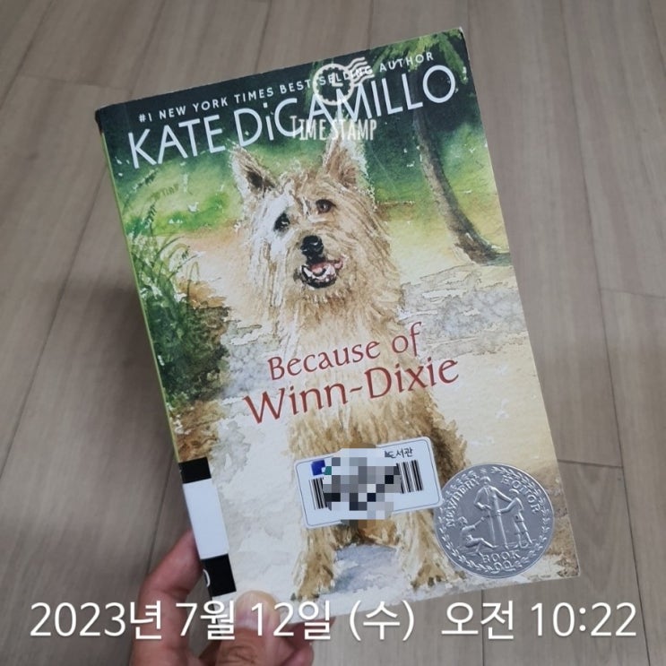 [초5] 영어원서 읽은 것 기록 (Holes, Frindle, The one and only Ivan, Because of ...