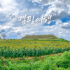 서울근교 캠핑여행 포천 허브아일랜드 닥박골캠핑장 연천 호로고루 해바라기 명소까지 네이버 블로그