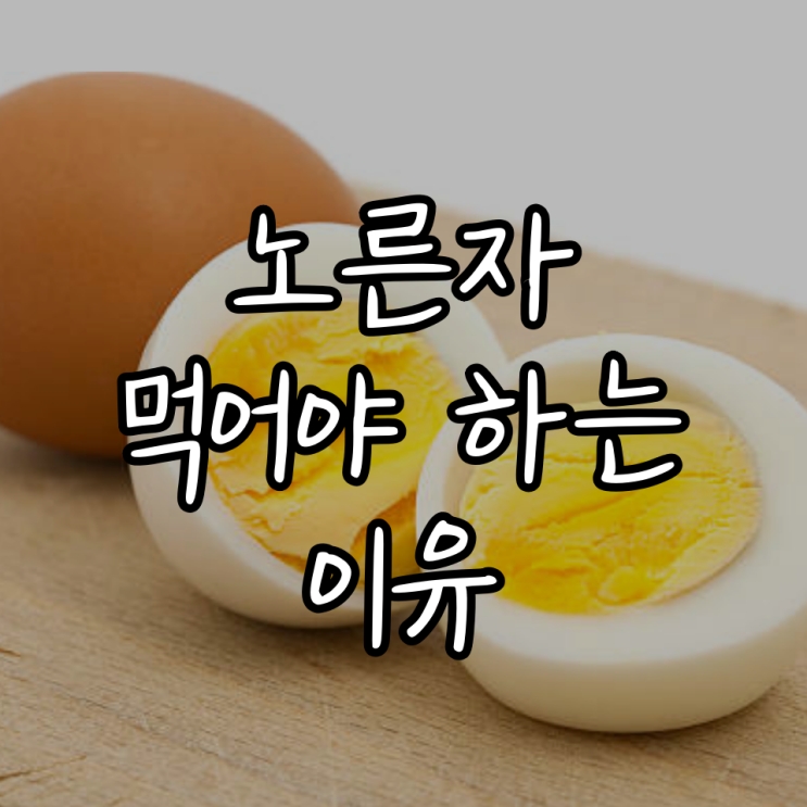 달걀 노른자 먹어야 하는 이유 계란 1개에 함유된 단백질 콜레스테롤 콜린 네이버 블로그