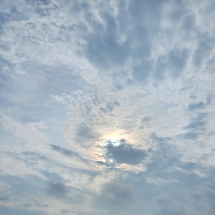 1st.wish-list 💎 : 네이버 블로그