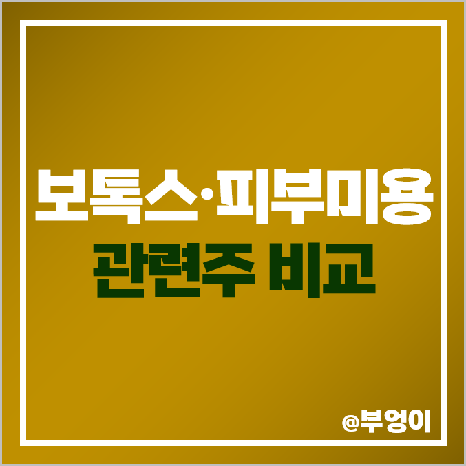 피부미용 보톡스 관련주 휴젤 메디톡스 주식 Per Pbr 주가 비교 네이버 블로그