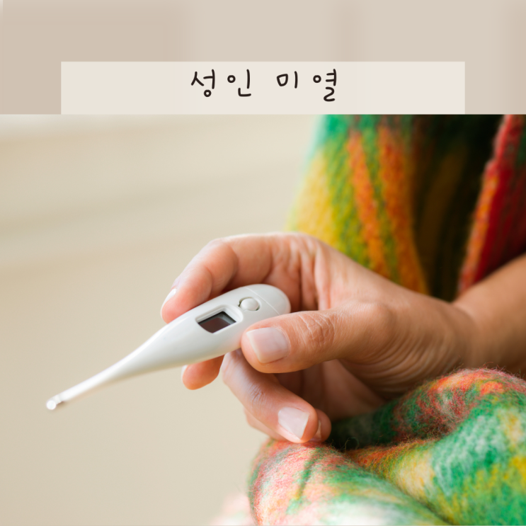 성인 미열 기준 지속 두통 발열감 증상 몸에 열감 열많은 사람 문제가 될까 네이버 블로그