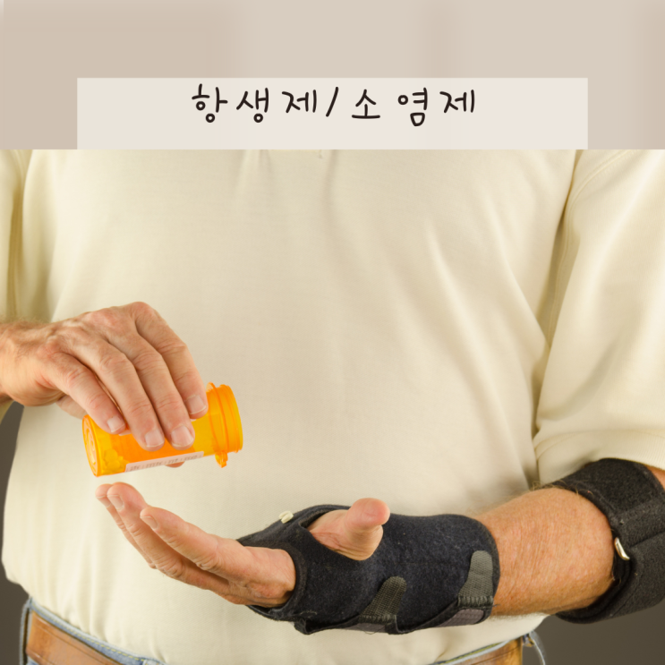 항생제 소염제 차이 효과 부작용 그밖에 주의해야 할 점은 네이버 블로그