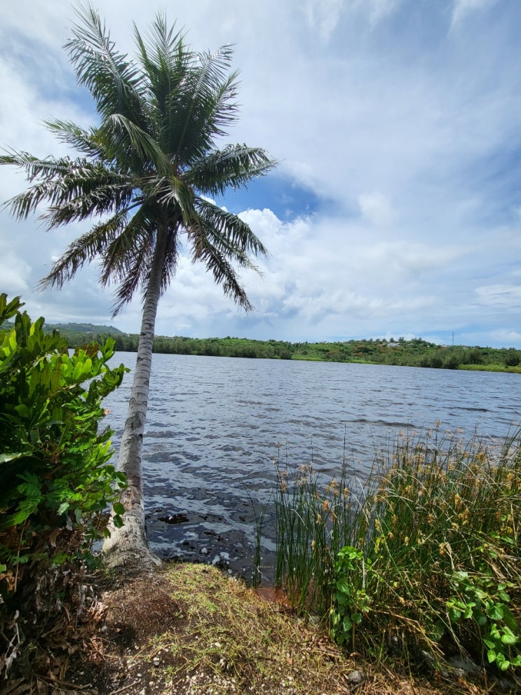 Day 17...수수페 호수( Lake Susupe)외~ : 네이버 블로그