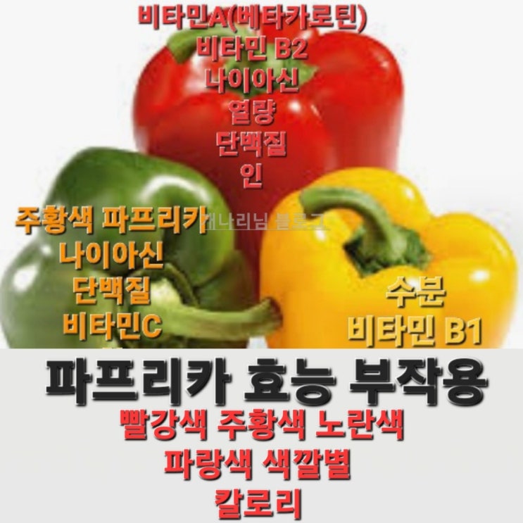 파프리카 효능 부작용 빨간색 주황색 노란색 파란색 색깔별 칼로리 네이버 블로그