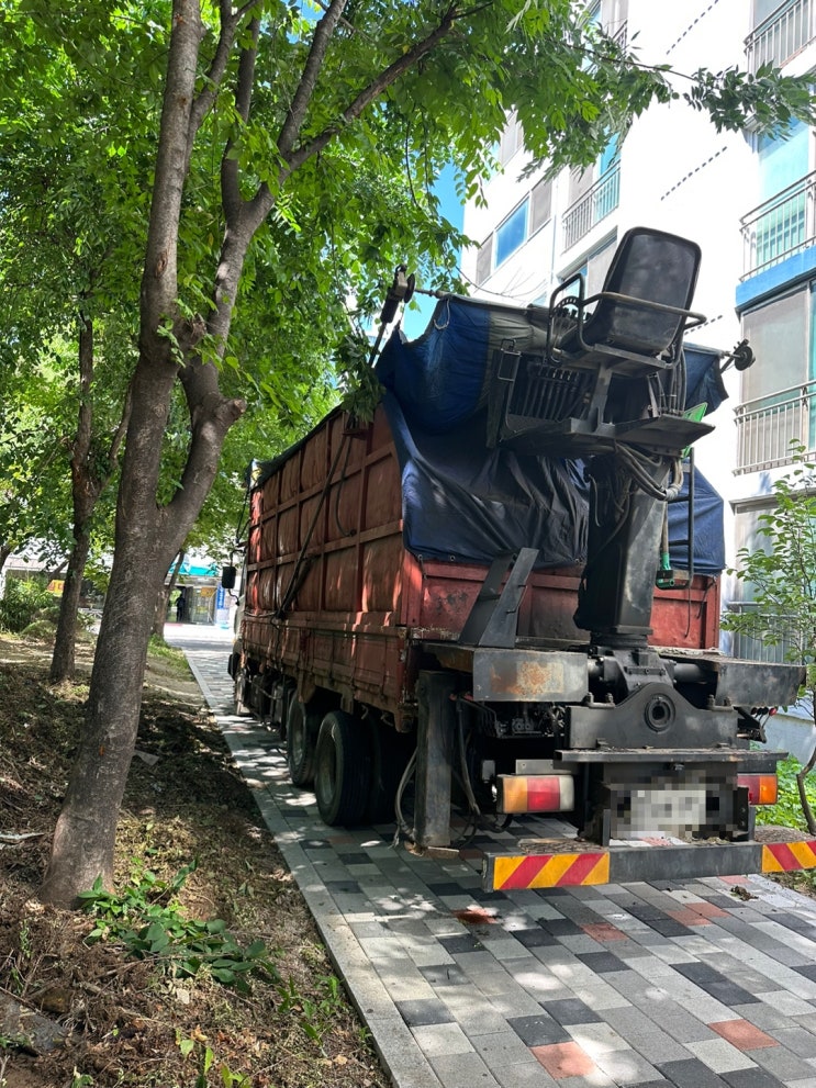 용인 기흥구 영덕동폐기물 전지목 임목처리까지 수월한 현장 네이버 블로그