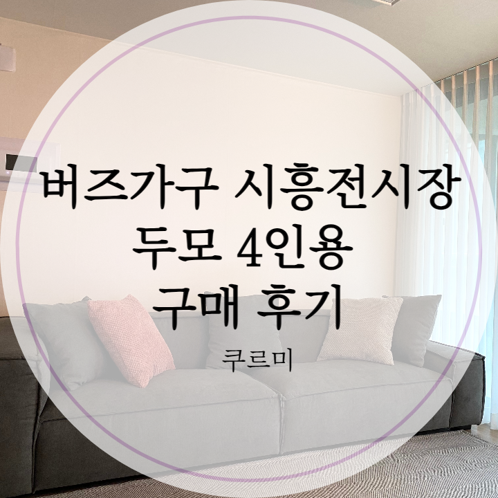 버즈가구 두모 4인용 소파 다크그레이색 구매 시흥 전시장 방문 후기 네이버 블로그