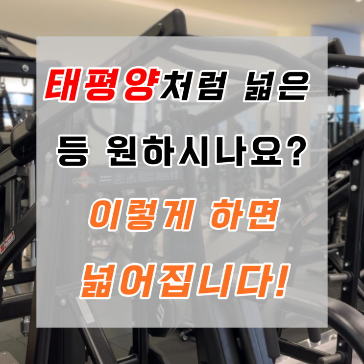 [하남헬스/미사헬스/미사pt/하남pt/메가나인피트니스] 등 운동 이렇게 하세요-! 프런트 로우 Front row! : 네이버 블로그