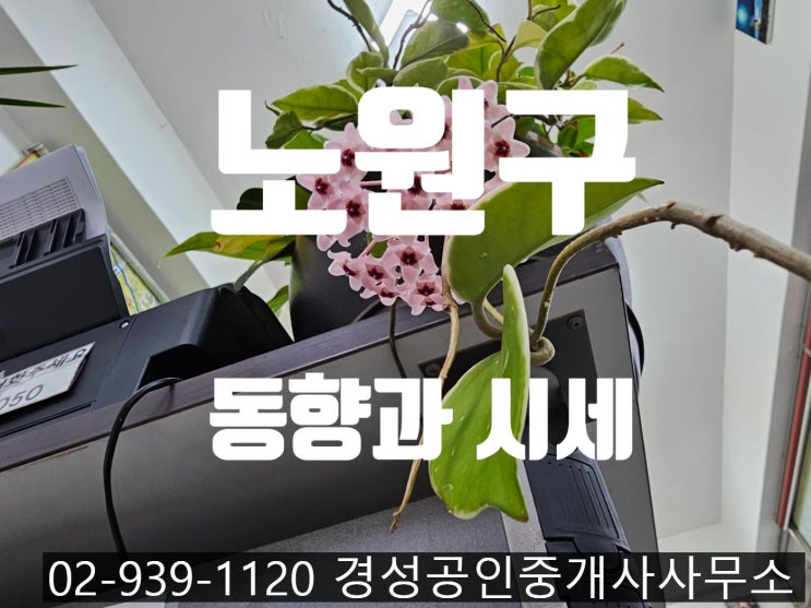 노원구 상계동중계동하계동공릉동 급매물매매 동향 재건축 진행흐름과 추가분담금 경성공인중개사사무소 네이버 블로그