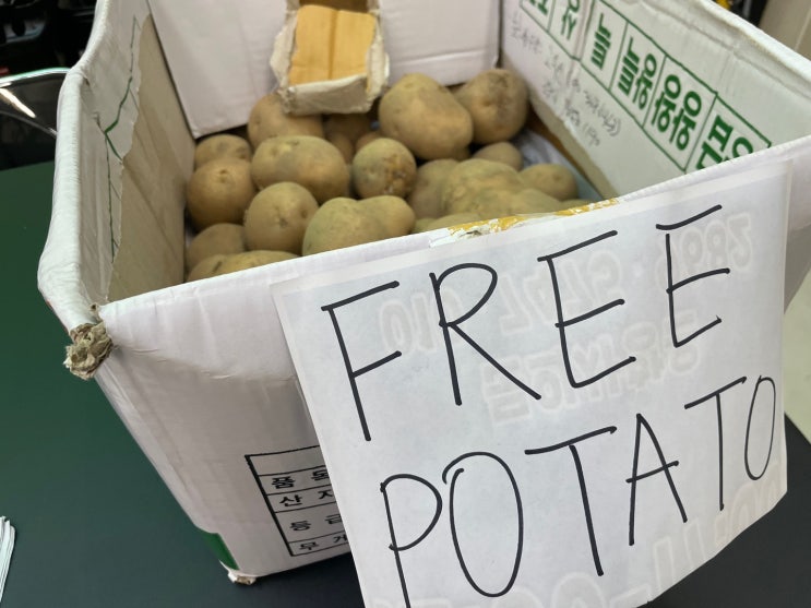 BOXING FITNESS CHEESEGYM / FREE POTATO / 방학시즌체력관리 : 네이버 블로그