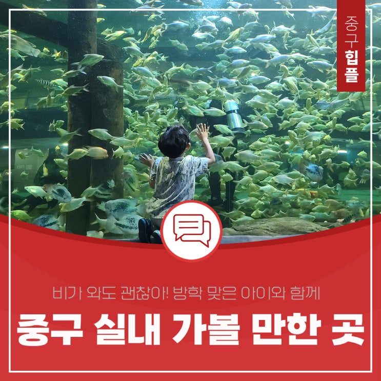 여름방학 맞이 아이와 대전 중구 실내 가볼 만한 곳 3선 추천대전아쿠아리움 산성어린이도서관 대전근현대사전시관 네이버 블로그