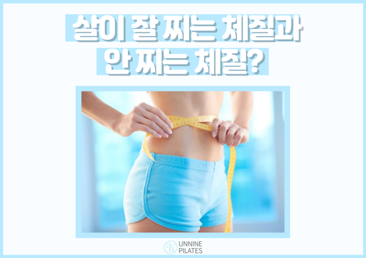 연산동필라테스 다이어트 살 안찌는 체질 기초대사량을 올리는 필라테스 네이버 블로그
