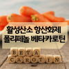 활성산소 항산화 작용 항산화제 뜻 폴리페놀 베타카로틴 효능 효과 네이버 블로그