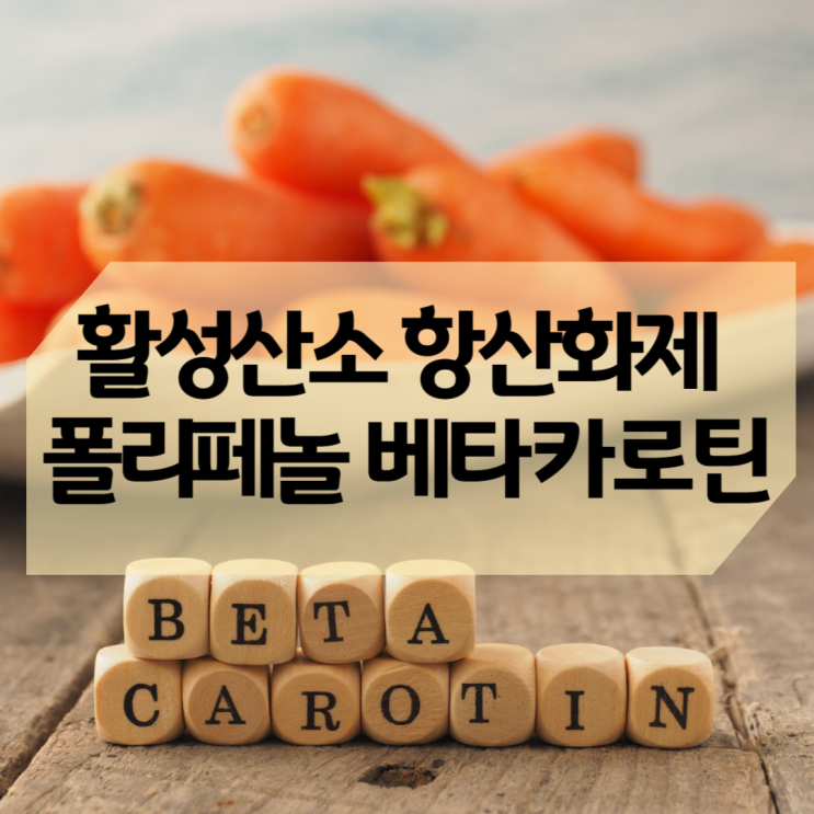 활성산소 항산화 작용 항산화제 뜻 폴리페놀 베타카로틴 효능 효과 네이버 블로그