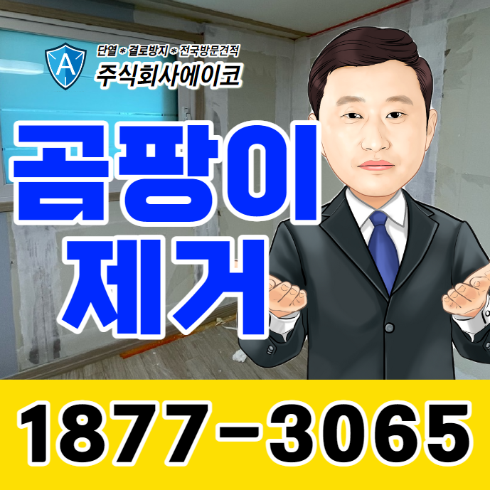 파주곰팡이제거 의정부 결로 벽지 도배문산 장흥 비용 네이버 블로그