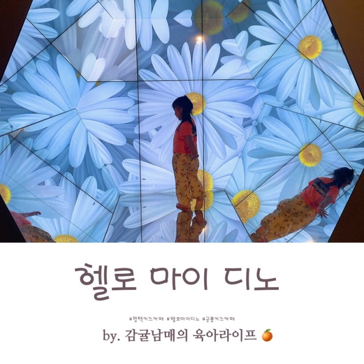 평택키즈카페 공룡덕후들 모여라 화려한 볼거리와 체험이 한가득 헬로마이디노 네이버 블로그
