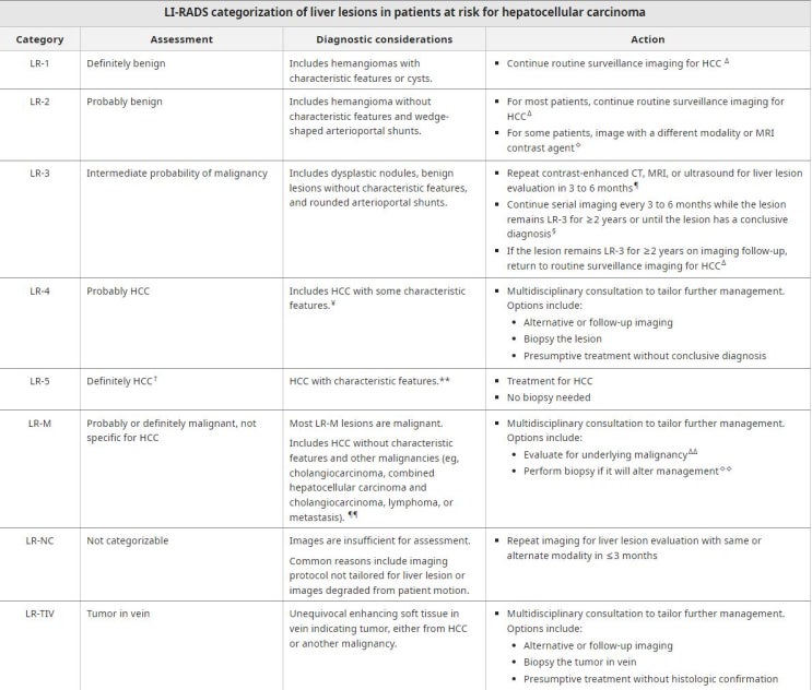 LI-RADS (Liver Imaging-Reporting and Data System) : 네이버 블로그