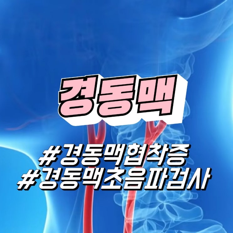 경동맥 협착증 And 경동맥 초음파 검사 위치 혈관 두께 네이버 블로그