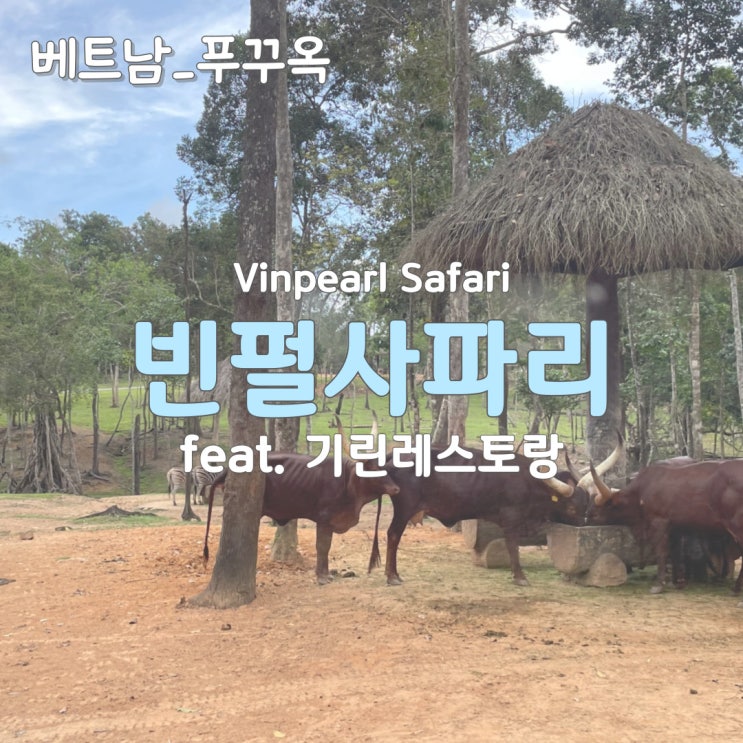 푸꾸옥 여행 빈펄사파리 입장료 주트램 버스투어 기린 레스토랑 네이버 블로그