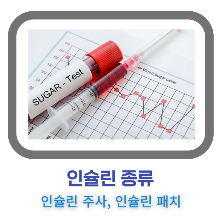 인슐린 종류 초속효성 속효성 중간형 혼합형 분석 인슐린 패치이오플로우에 대해 알아봅시다 네이버 블로그