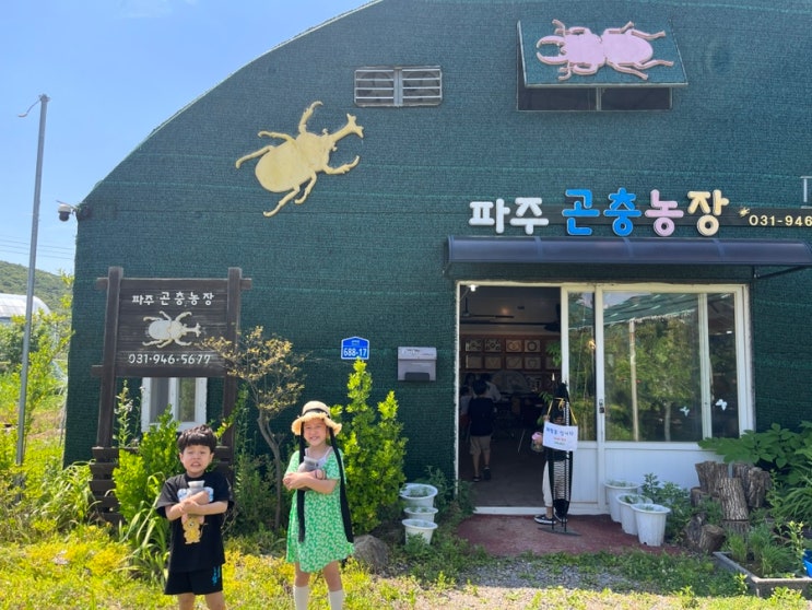 파주 아이와 가볼만한 곳 곤충농장숲속친구들 파주 키즈체험 아이와가볼만한곳 추천 장수풍뎅이 분양 네이버 블로그